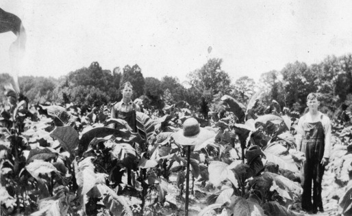 Cox Family History of Onslow County North Carolina